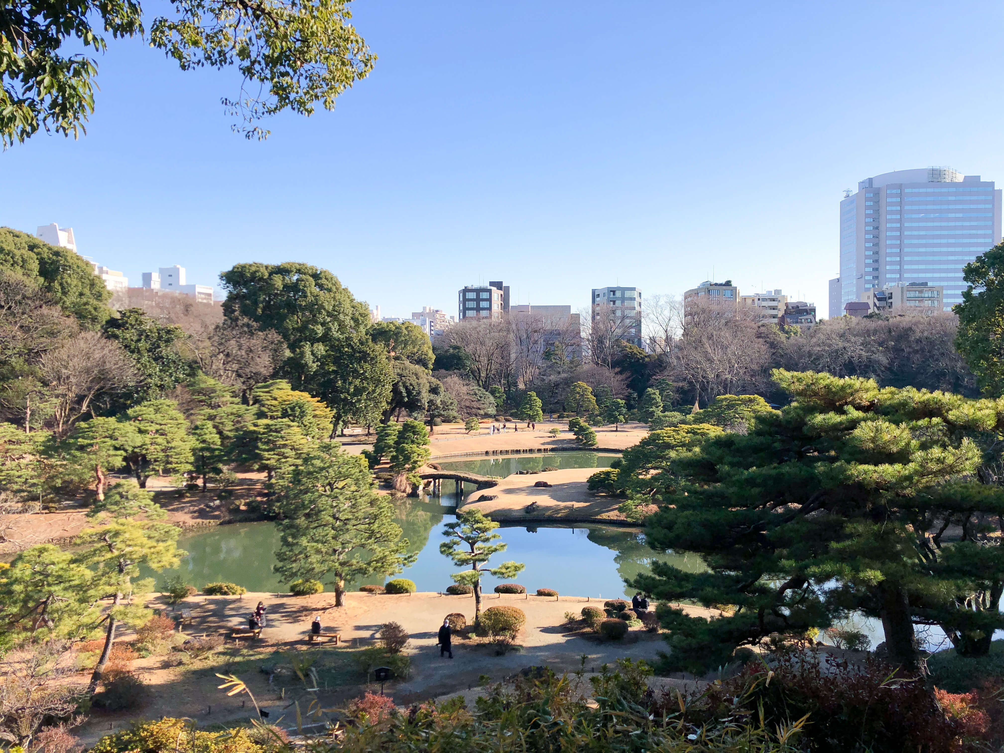 駒込のおすすめ観光スポット10選！日本有数の庭園や博物館、ソメイヨシノ発祥の地からレトロ気分の買い物スポットまで | TABI CHANNEL