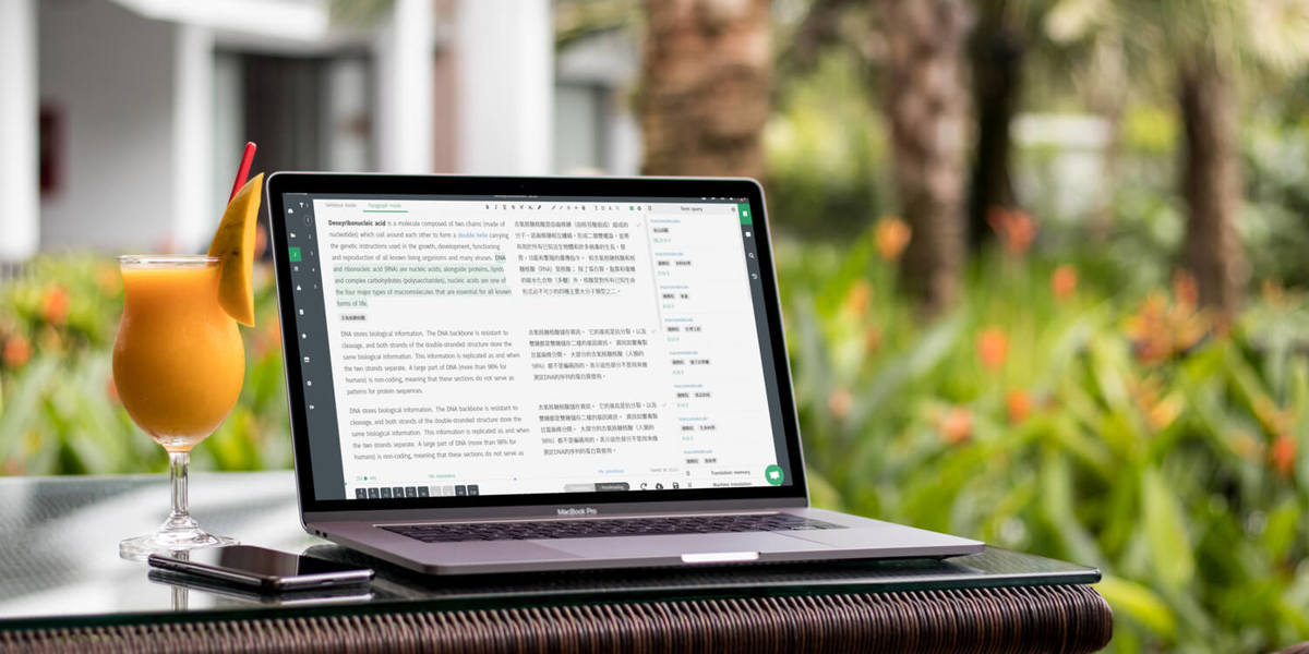 Creative Translation and Termsoup: A Perfect Match | Termsoup