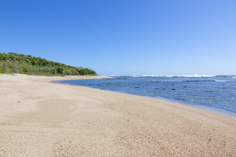 Aoshima Island Shore｜THE GATE｜Japan Travel Magazine: Find Tourism ...