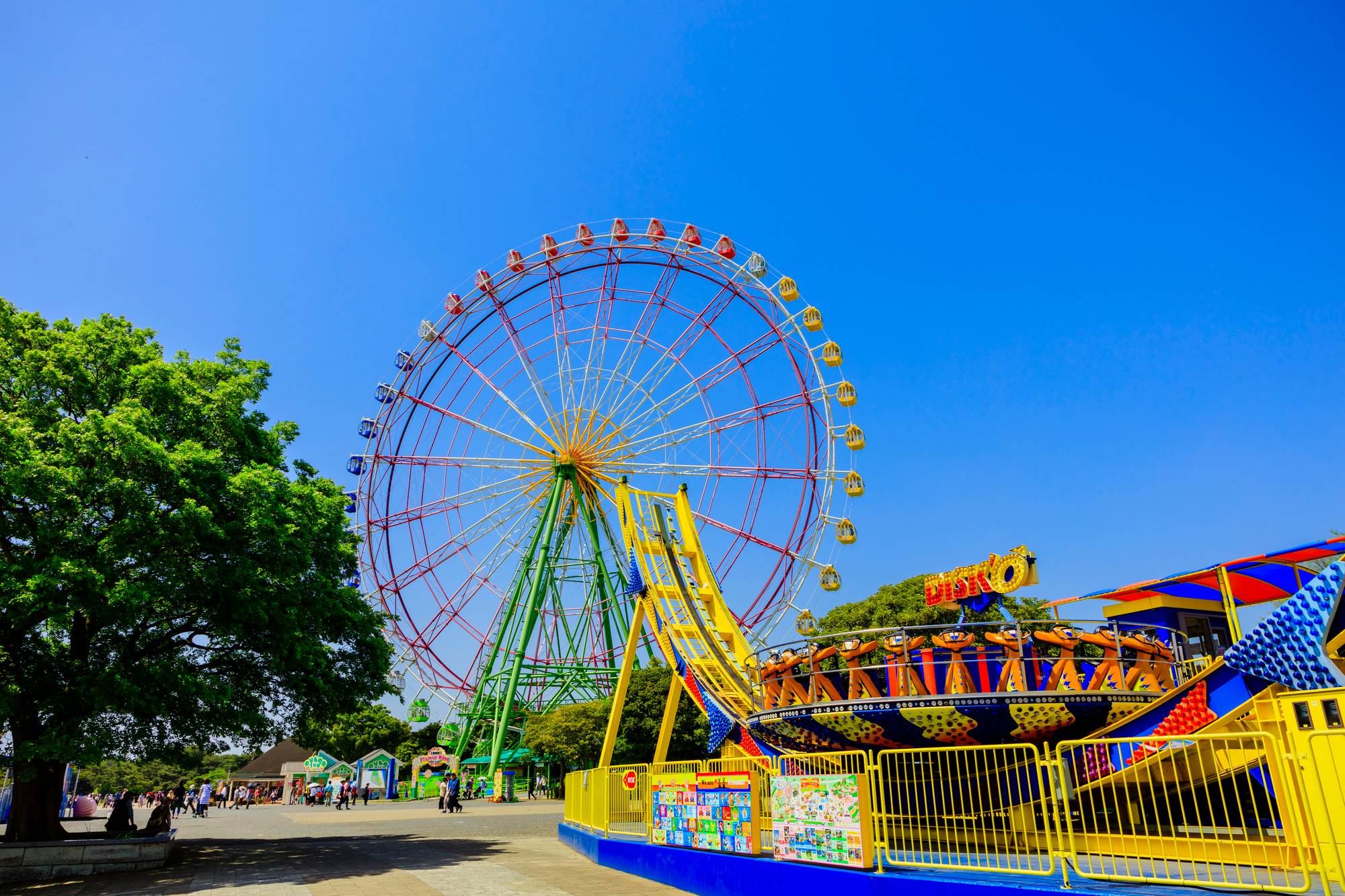 Enjoy Hitachi Seaside Park & its 4 Vibrant Seasons of Flowers!｜THE GATE ...