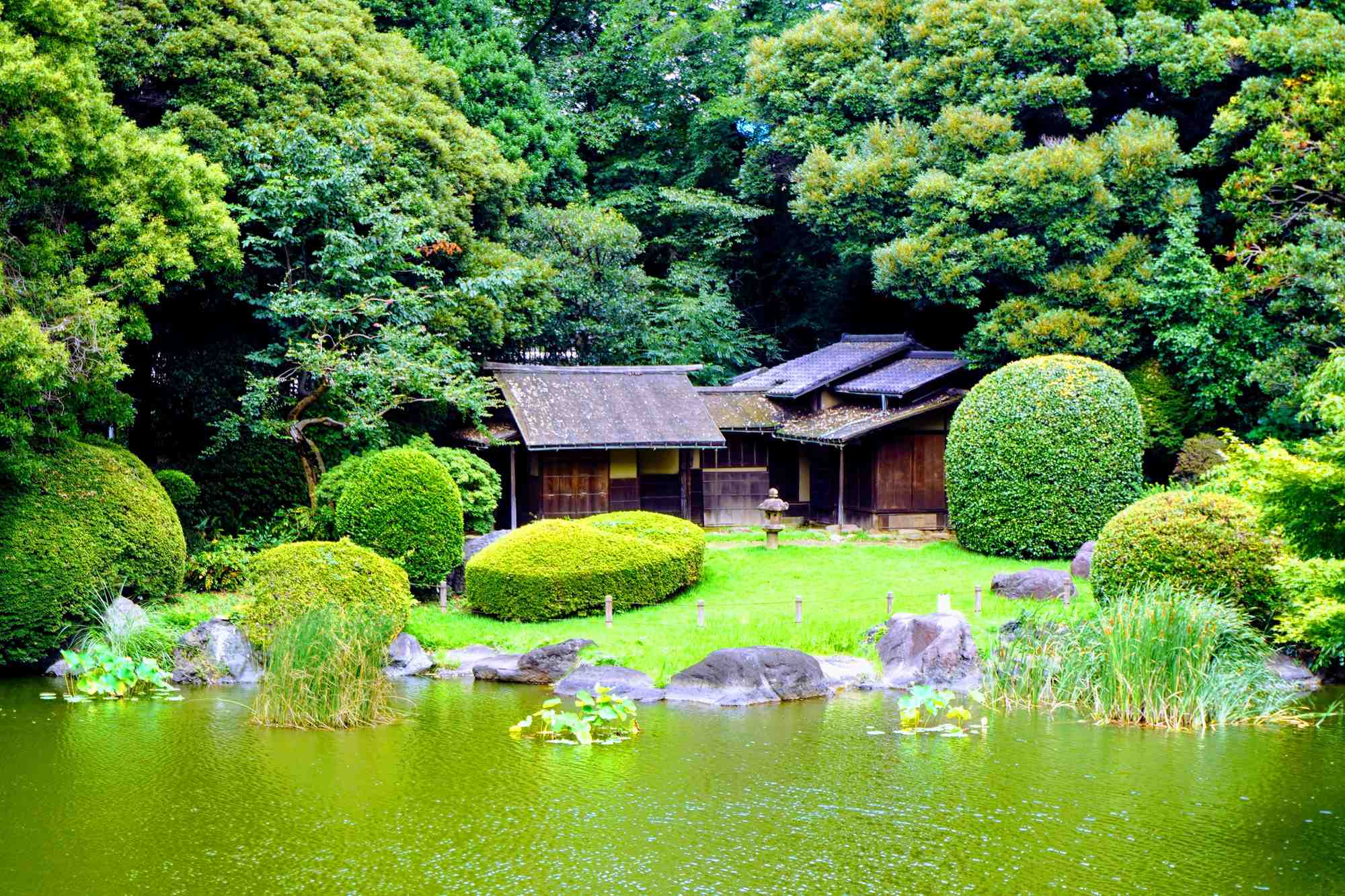 Tokyo National Museum: Japan's Biggest Treasure Trove of Discoveries ...