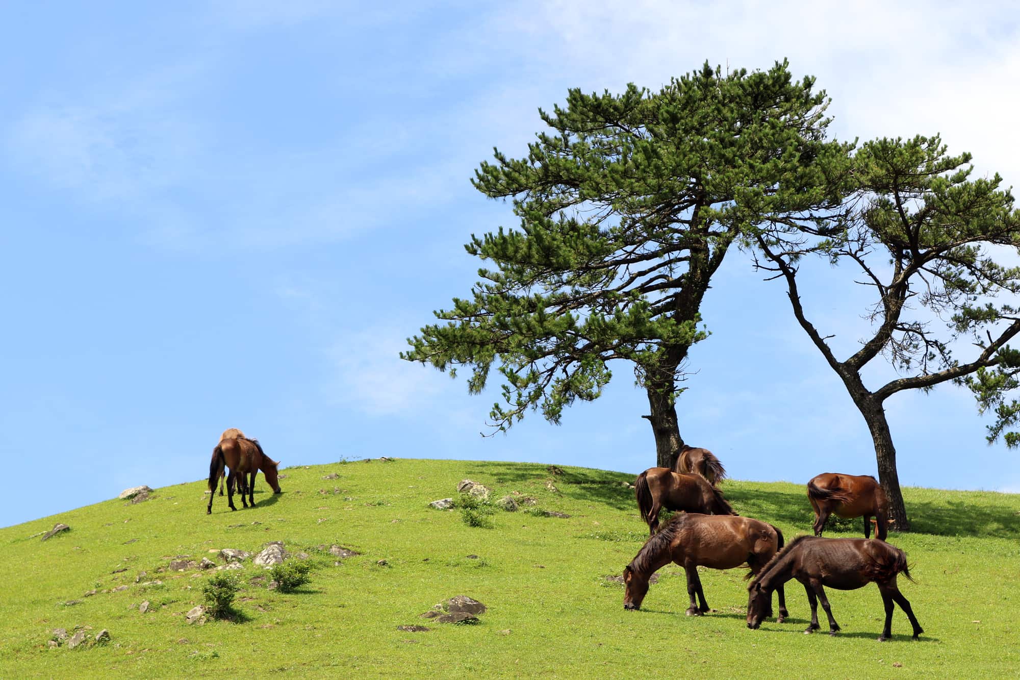 Cape Toi｜THE GATE｜Japan Travel Magazine: Find Tourism & Travel Info