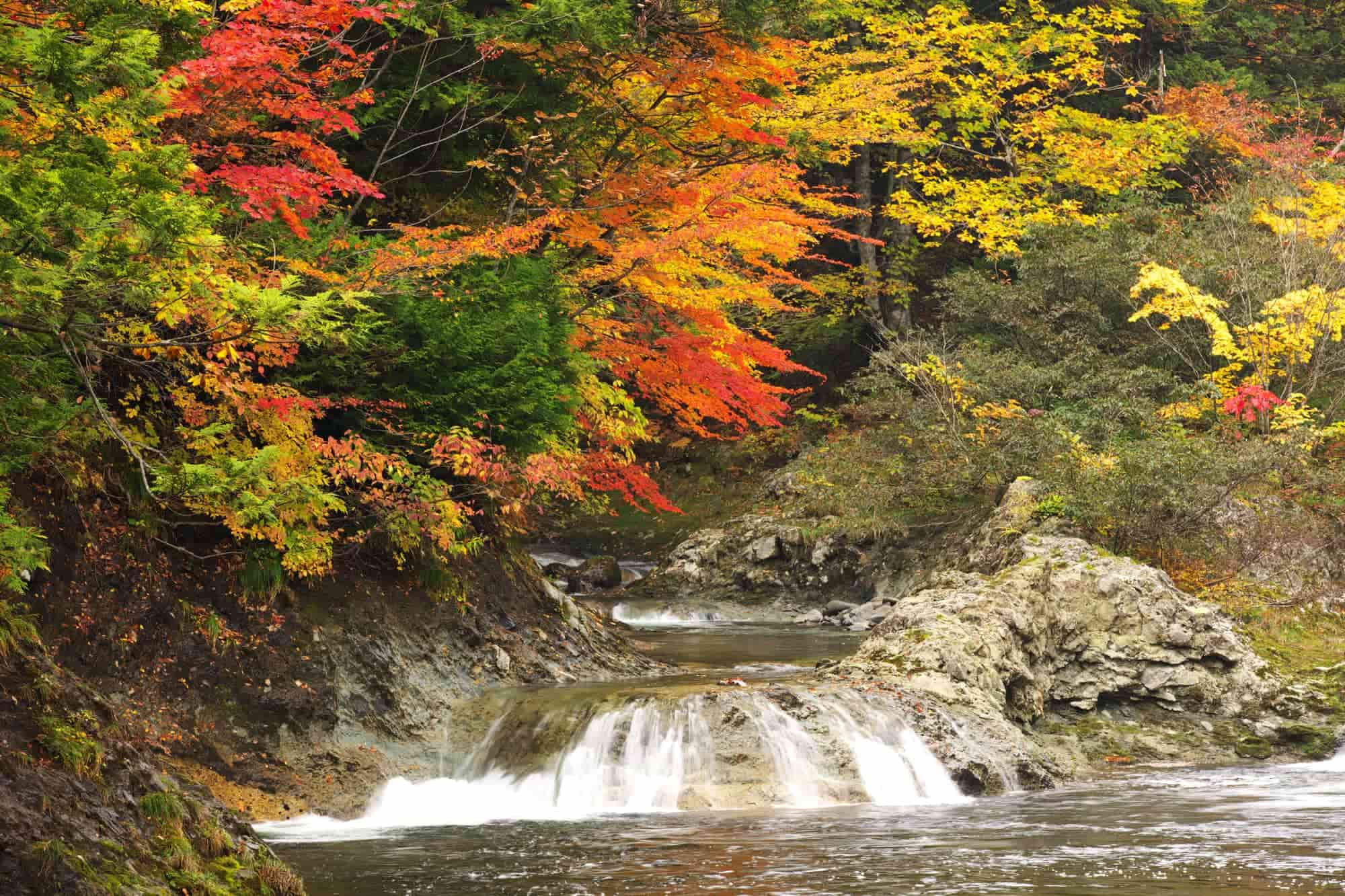薬研渓流｜THE GATE｜日本の旅行観光マガジン・観光旅行情報掲載