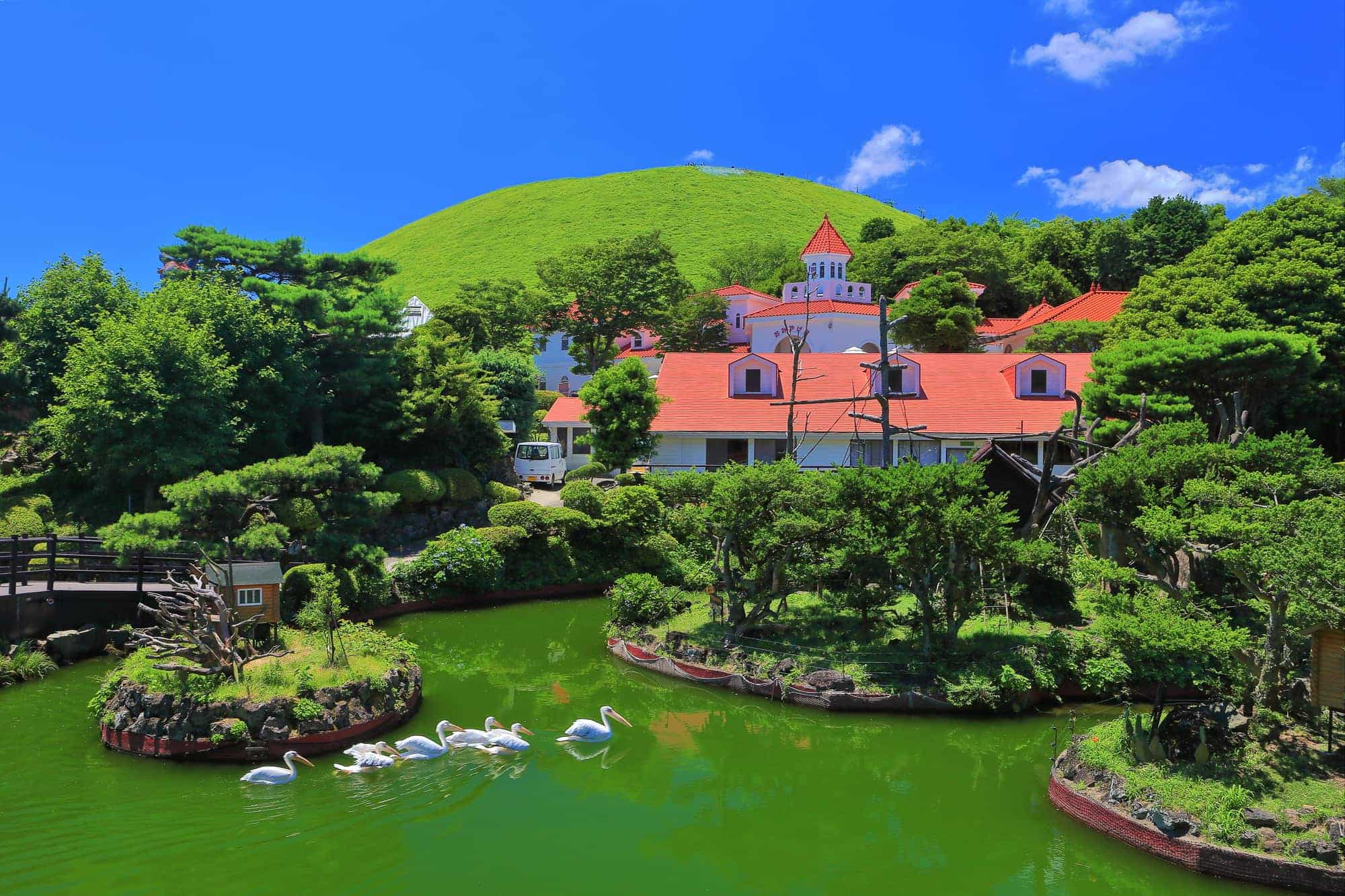 Izu Shaboten Zoo｜THE GATE｜Japan Travel Magazine: Find Tourism & Travel Info