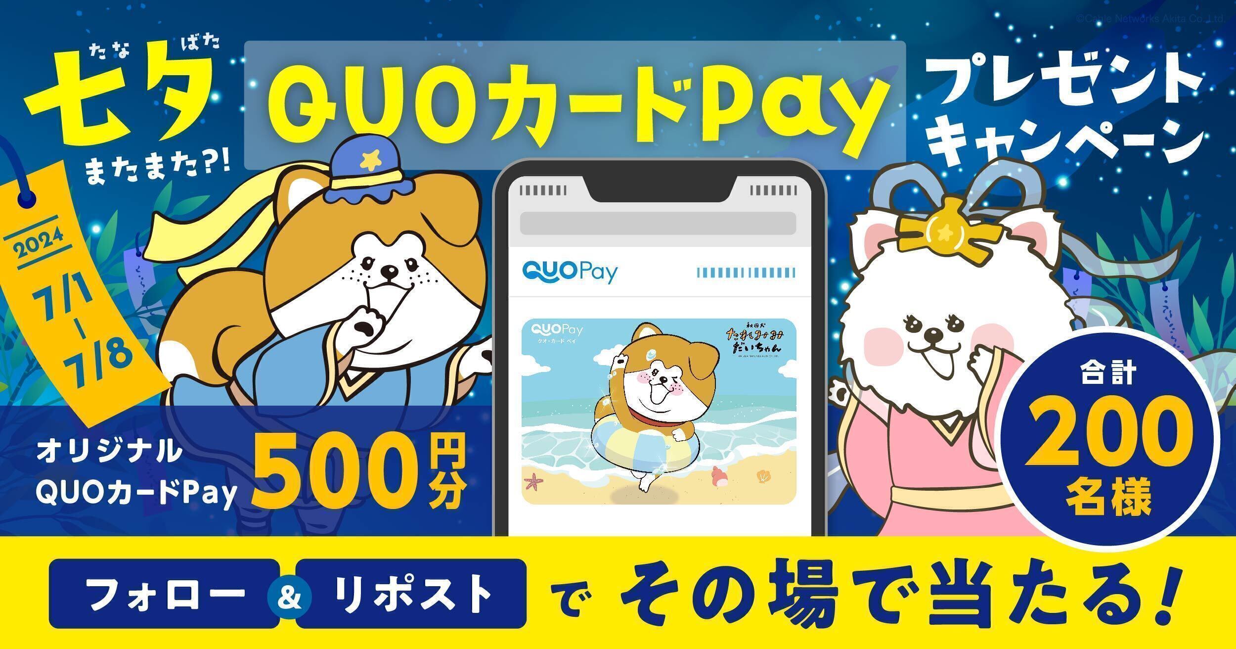 秋田犬たれみみだいちゃん 七夕またまた?!QUOカードPayプレゼントキャンペーン
