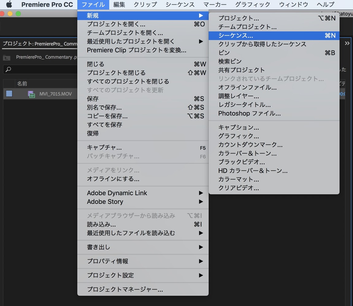 【初めてのPremiere Pro】シーケンスってなぁに？設定はどうしたらいいの？ | Vook(ヴック)