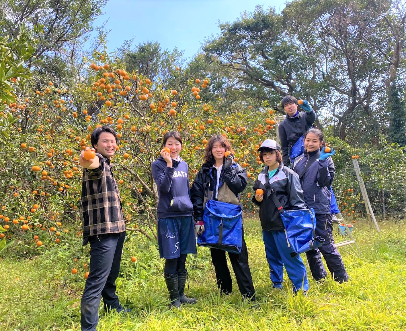 投稿日2025-11-08 05:58:00【12月】世界遺産を有する「屋久島」で人々に寄り添う村おこしボランティア！｜村おこしNPO法人ECOFF｜ボランティアプラットフォーム