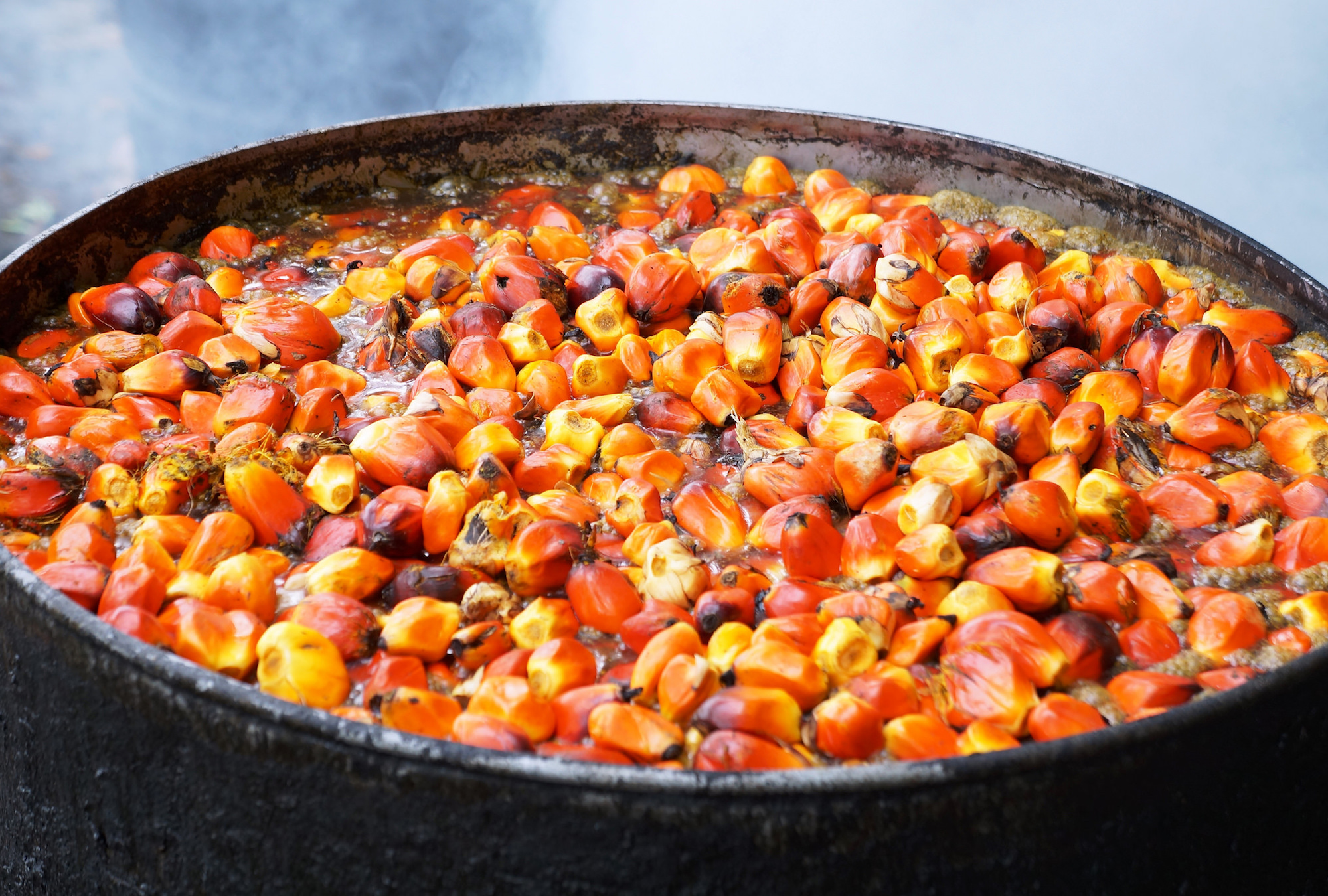 Dende o Dende – The Capoeira Studio